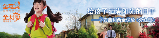 中国平安-平安鑫利两全保险（分红型）